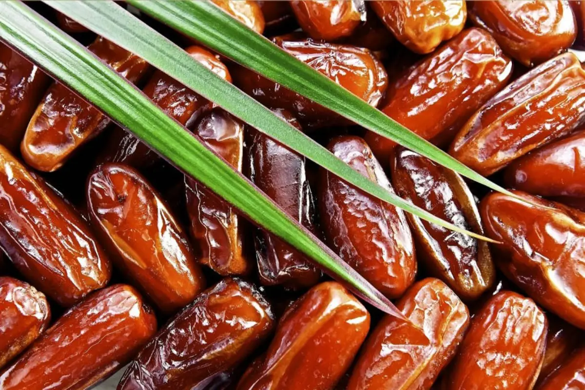 Top 10 Best Dates in the World | Varieties, Taste & Quality Guide