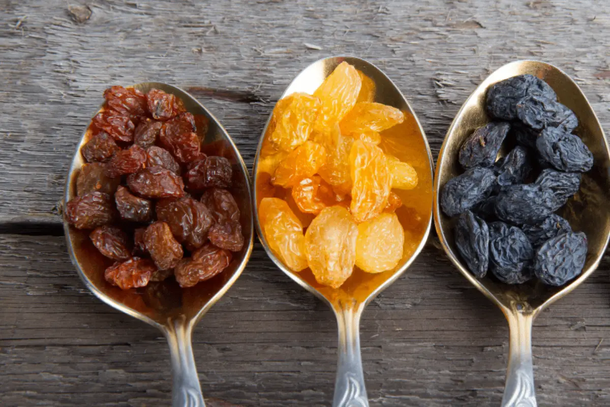 Different Types of Raisins | Varieties, Uses & Flavor Guide