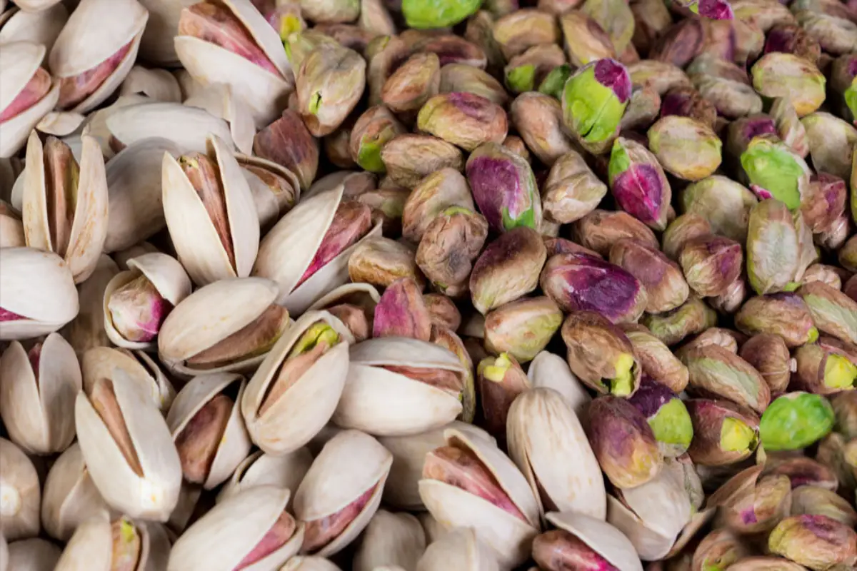 Types of Pistachios: the Best Pistachio from Iran, USA, Turkey...